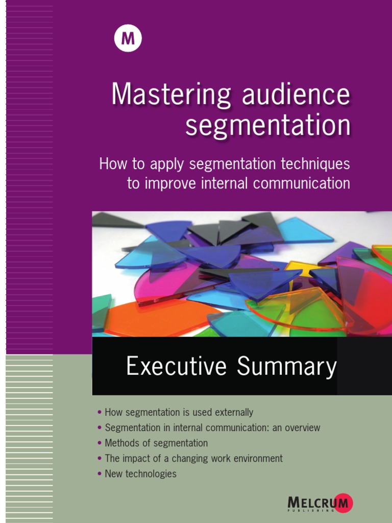 Mastering Audience Segmentation: Executive Summary | PDF | Social Media ...