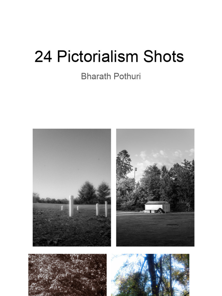 24 Pictorialism Shots | PDF