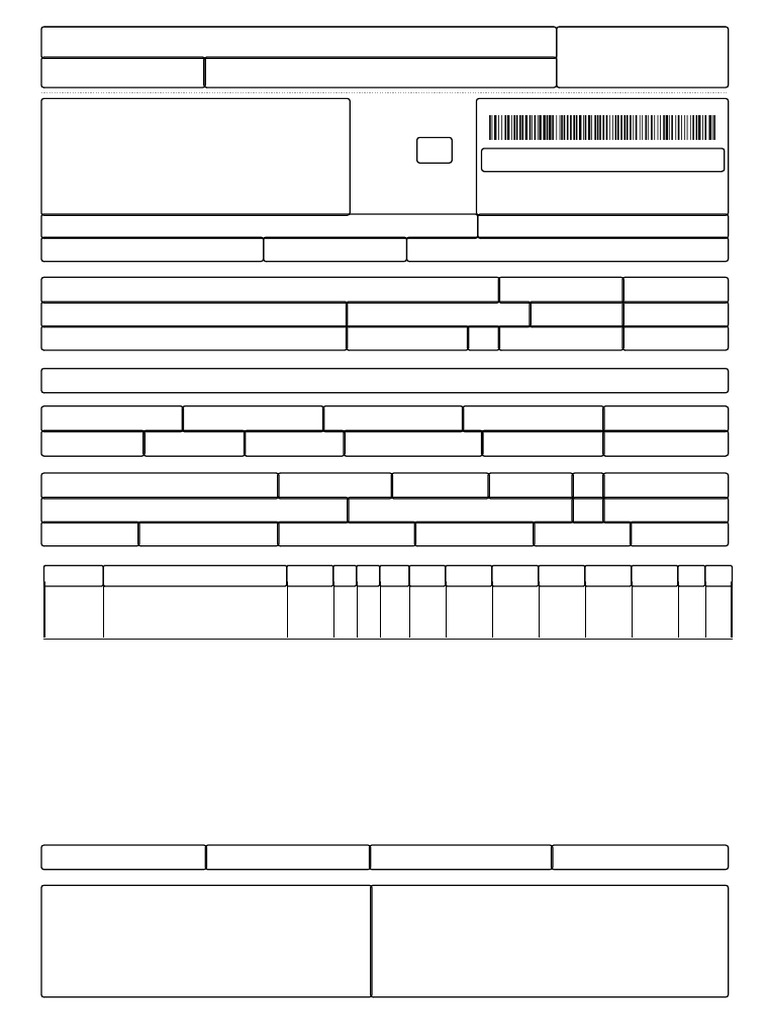 737 - CHICO DOS PALETES x CONDVOLTaaaaaaaa | PDF | Business