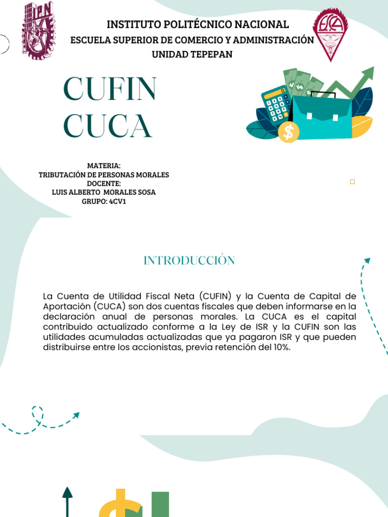 CUFIN Y CUCA | PDF | Impuesto sobre la renta | Dividendo