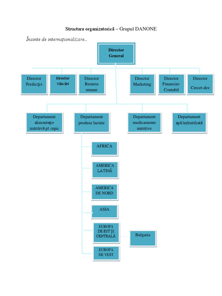 Organigrama Danone | PDF