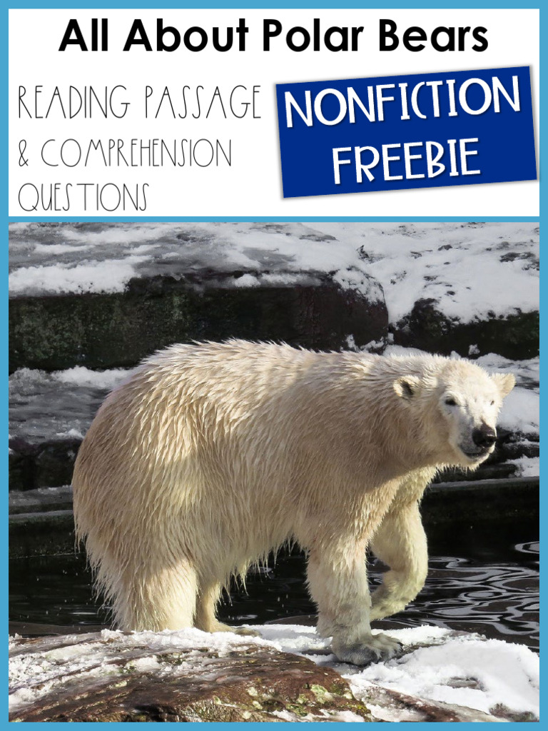 Reading Passage: & Comprehension Questions | PDF | Polar Bear | Bears
