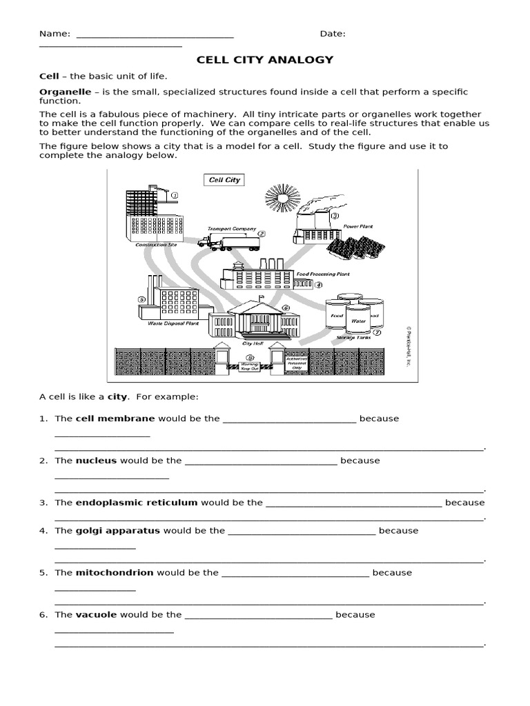 1.00 Cell City Analogy Activity | PDF | Cell (Biology) | Organelle