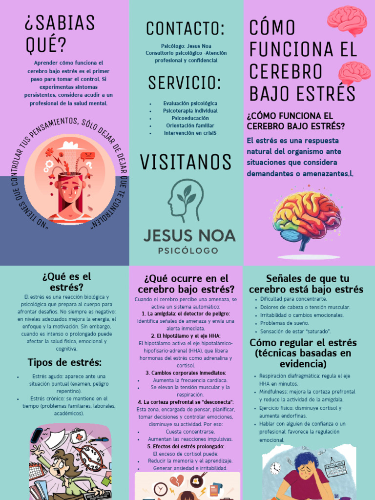 Cómo Funciona El Cerebro Bajo Estrés | PDF | Estrés (biología) | Las emociones
