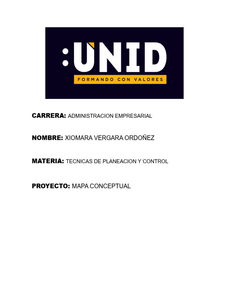 Xio Mapa Conceptual1 | PDF | Planificación | Plan de negocios