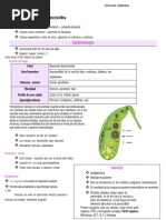 Aerobilia: Causas y Diagnóstico | PDF | Gastroenterología ...