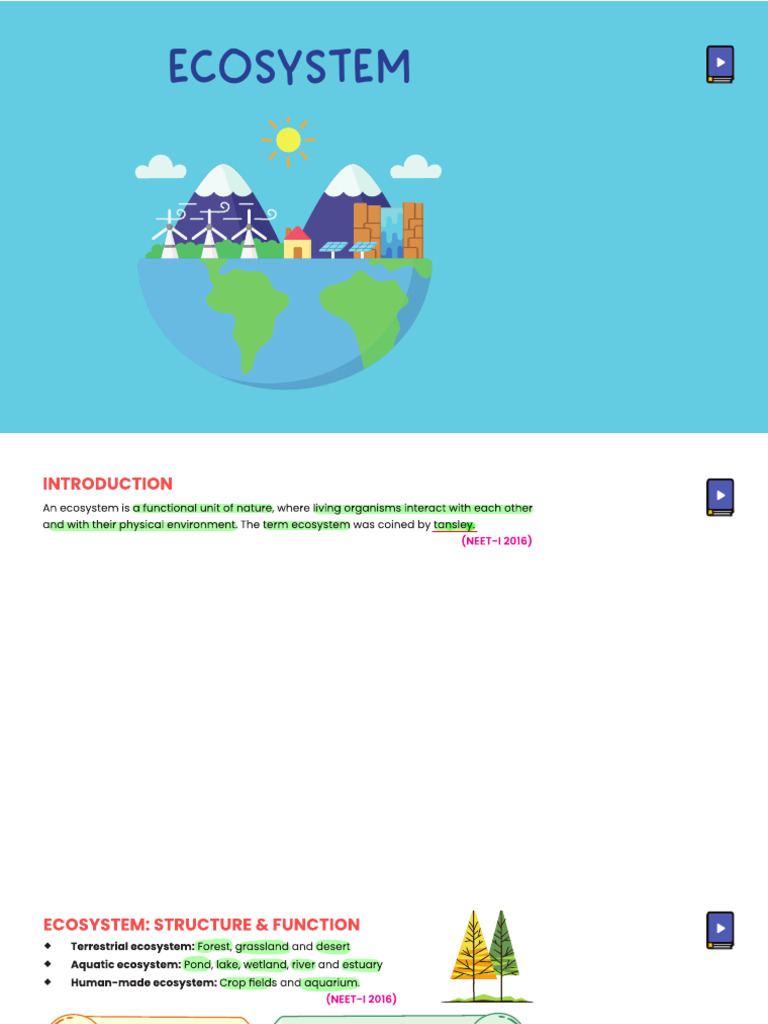 Ecosystem (Final NCERT Revision) | PDF