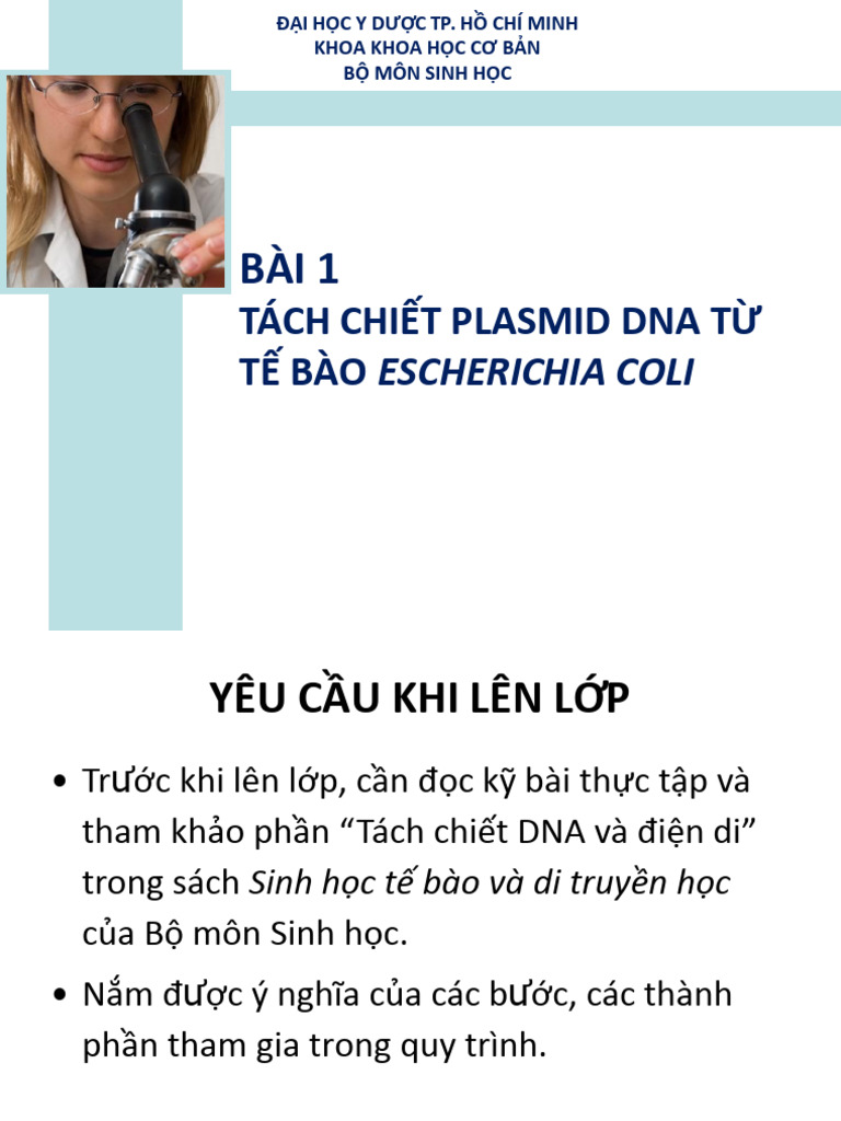 B1 TACH CHIET DNA_bm | PDF