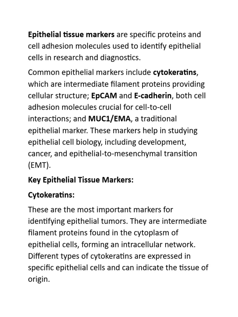 Epithelial Tissue Markers Are Specific Proteins and Cell Adhesion | PDF ...