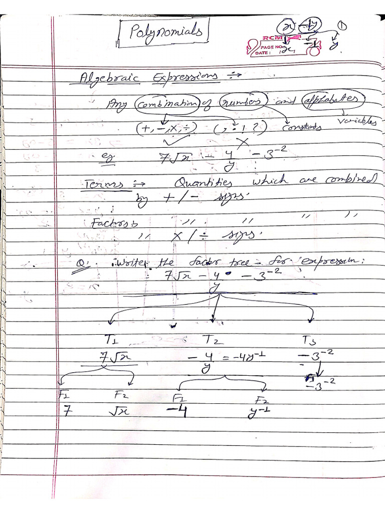 Polynomials Class 9th notes | PDF
