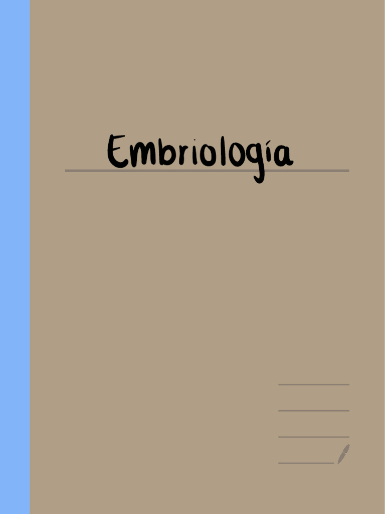 Embriología apuntes de todo | PDF | Ventrículo (corazón) | Aorta