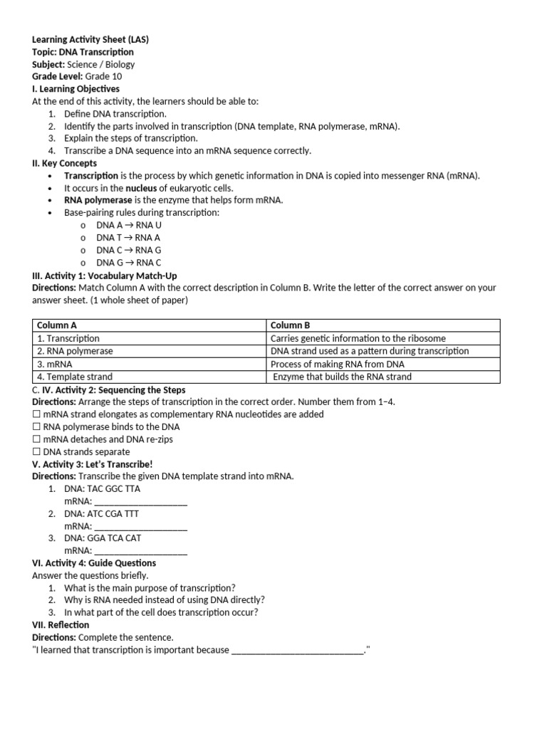 Learning Activity Sheet DNA Transcription | PDF