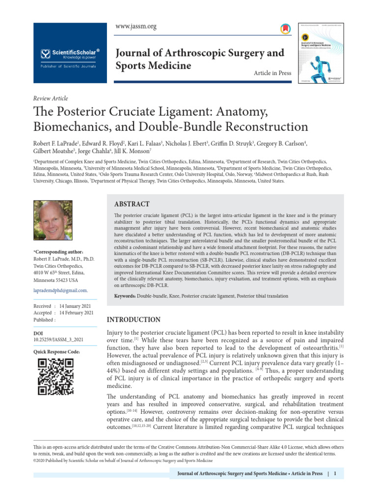 The Posterior Cruciate Ligament Anatomy Biomechanics and Double Bundle ...