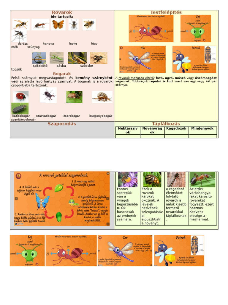 Rovarok | PDF