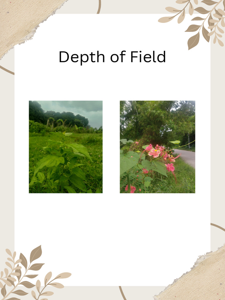 Brown Classic Aesthetic Border Blank Paper Document A4_20260103_101808 ...