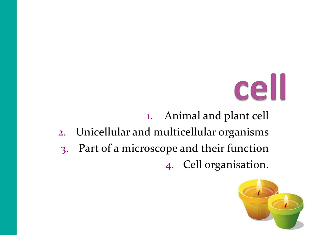Animal and Plant Cell Unicellular and Multicellular Organisms Part of A ...