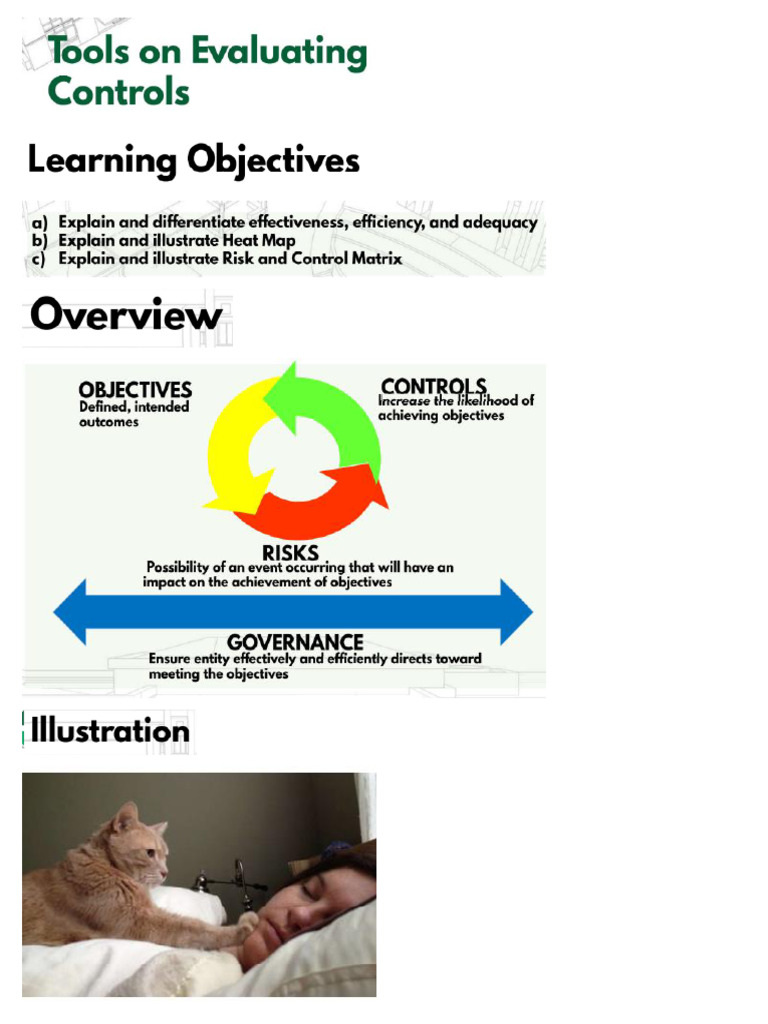 Tool On Evaluating Controls PPT and Notes | PDF