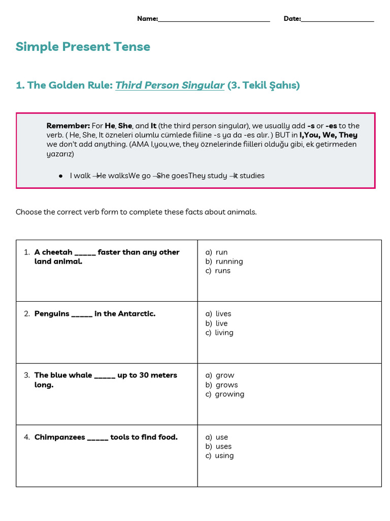 Simple Present Positive Negative Question Form | PDF | Semantics ...