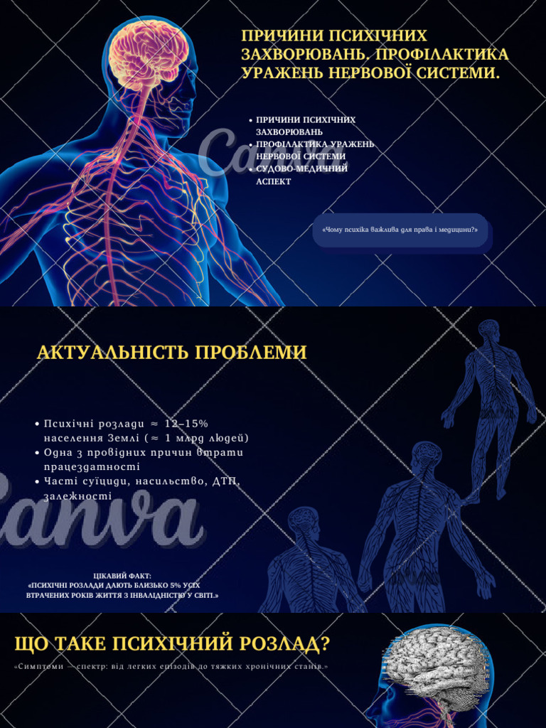The Nervous Systems Education Presentation Blue Animated Style | PDF