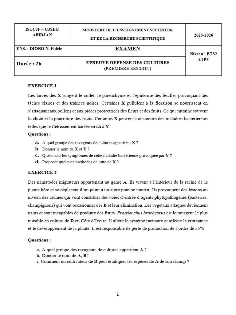 Examen Session 1 Defense Des Cultures - Bts2-Atpv | PDF