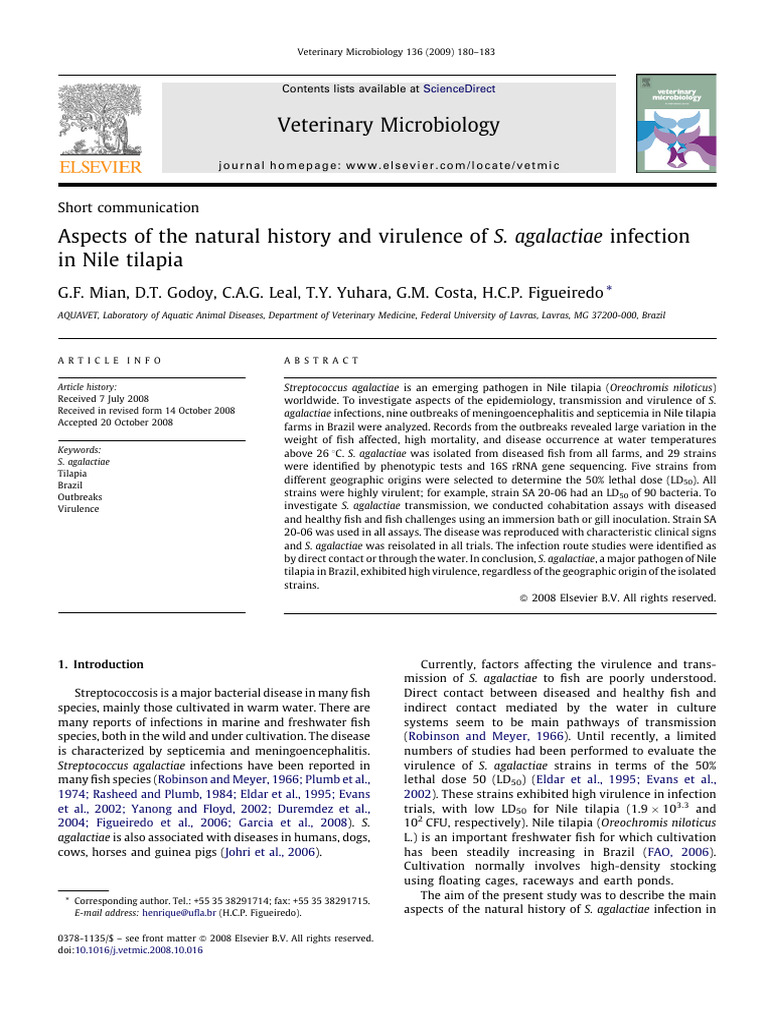 Aspects of the Natural History and Virulence of S. Agalactiae Infection ...