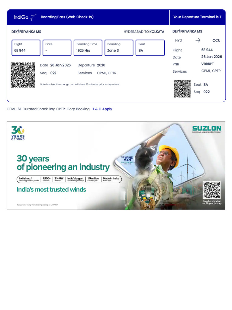 Indigo Web Check in | PDF