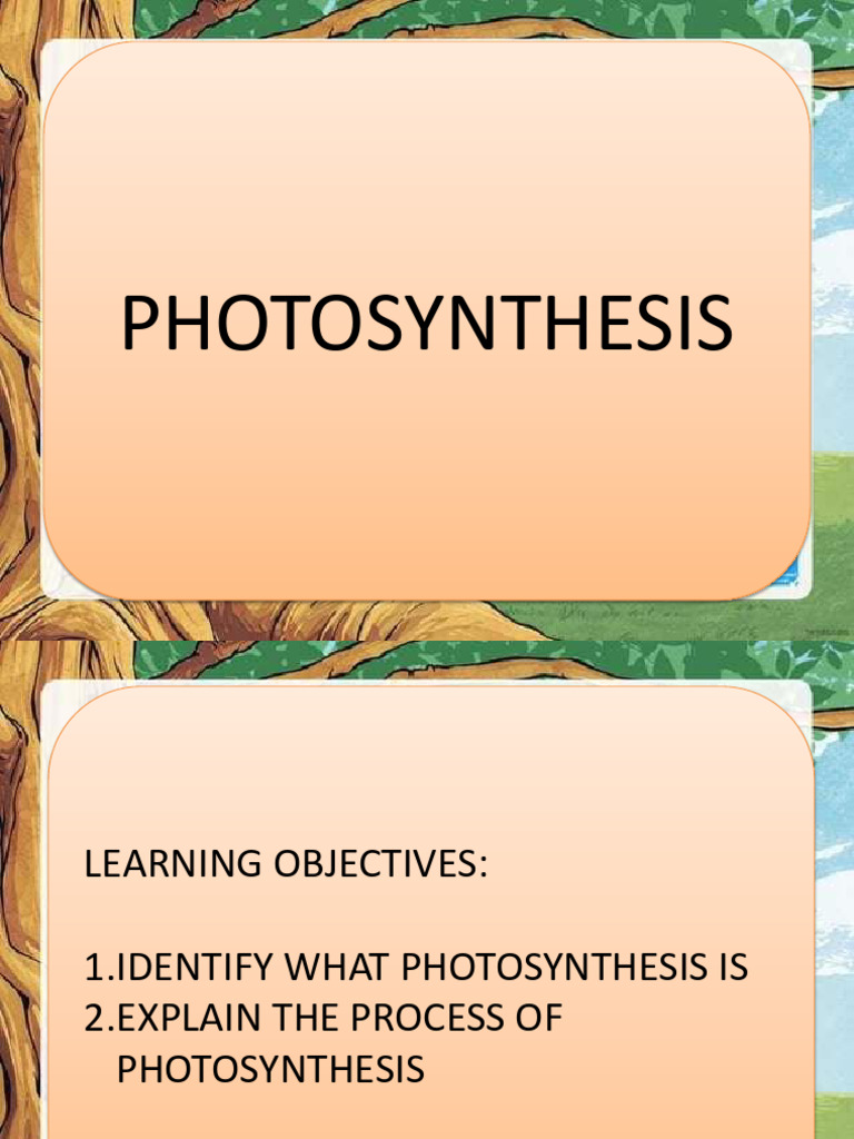 Photosynthesis Lesson | PDF