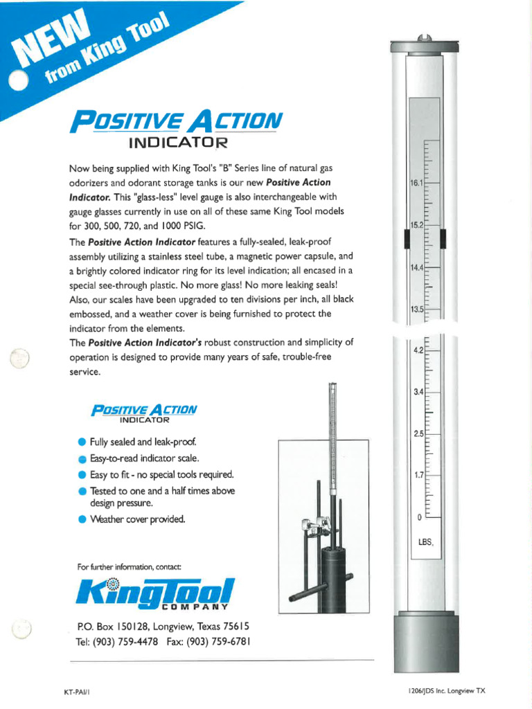 Positive Action Indicator Brochure in Color | PDF