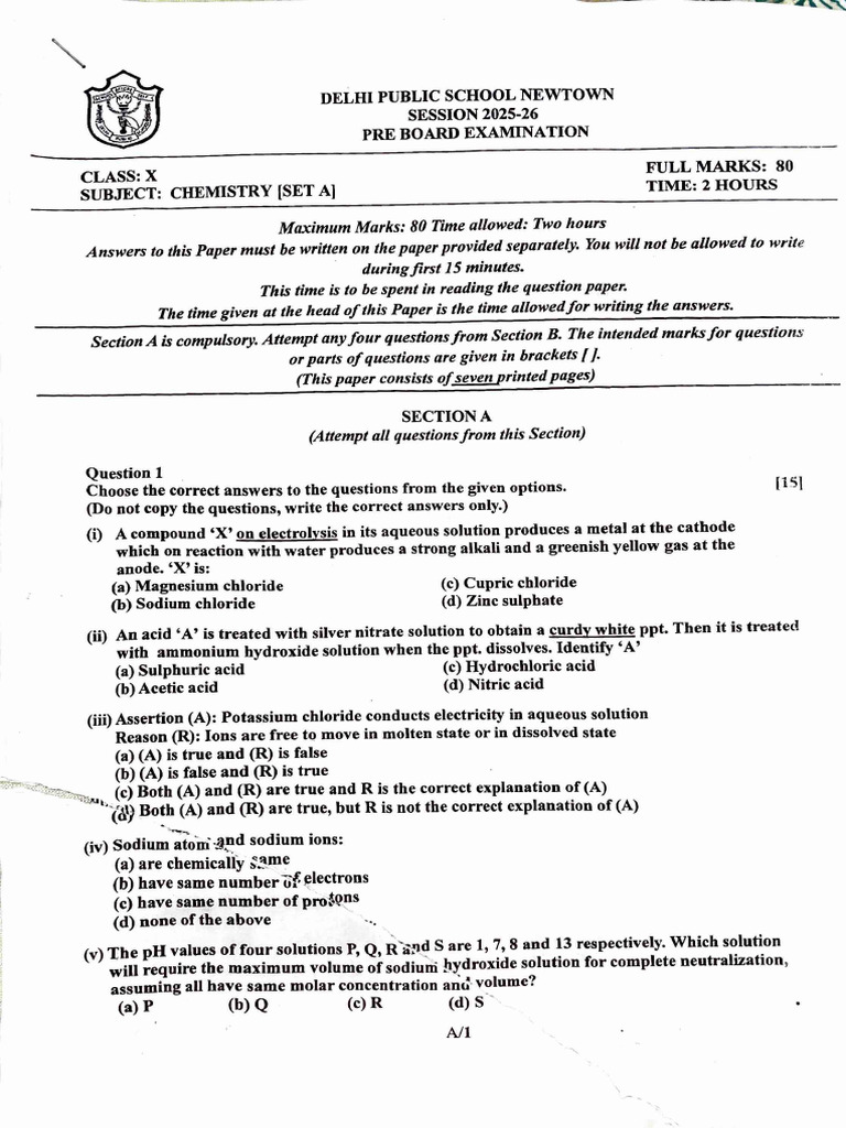 DPS Newtown Preboard Paper | PDF