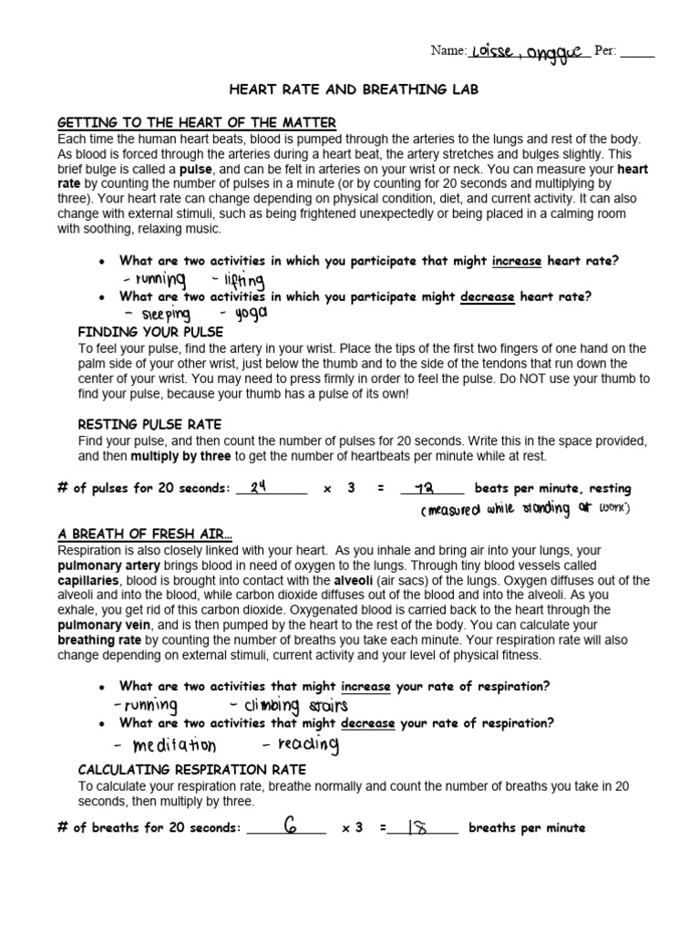 Heart Rate and Breathing Lab | PDF | Breathing | Heart Rate