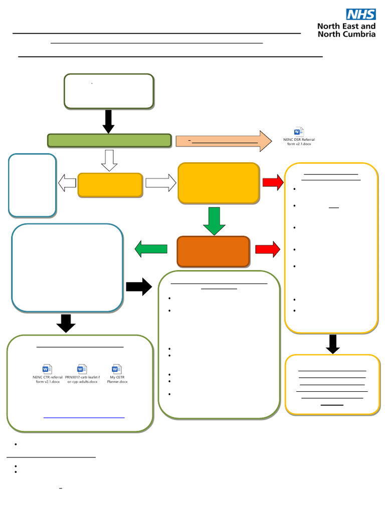 ICB C (E) TR LAEP Flowchart 2025 v2.4 | PDF | Mental Disorder | Human ...