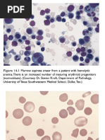Patho Slides | PDF