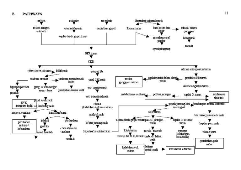 Ckd Pathways | Genitourinary System Diseases | Urinary System