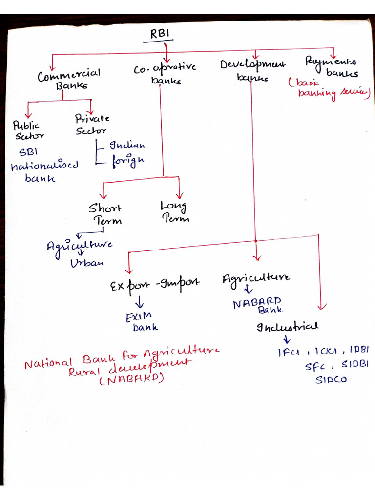 RBI Short Notes | PDF