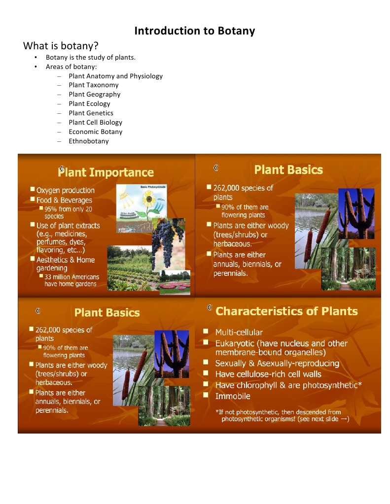 Basics of Botany and Plant Types | PDF | Science & Mathematics