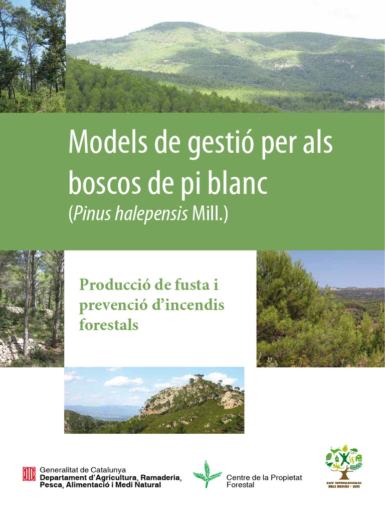 ORGEST Pi Blanc | PDF