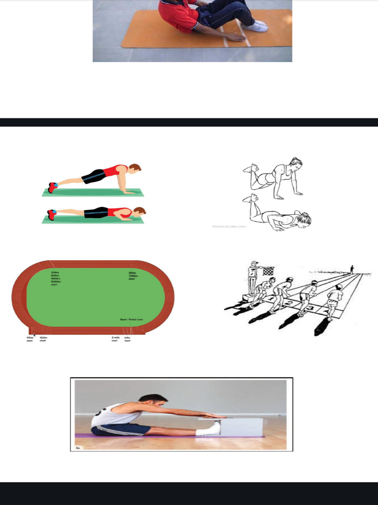 1000027017 | PDF
