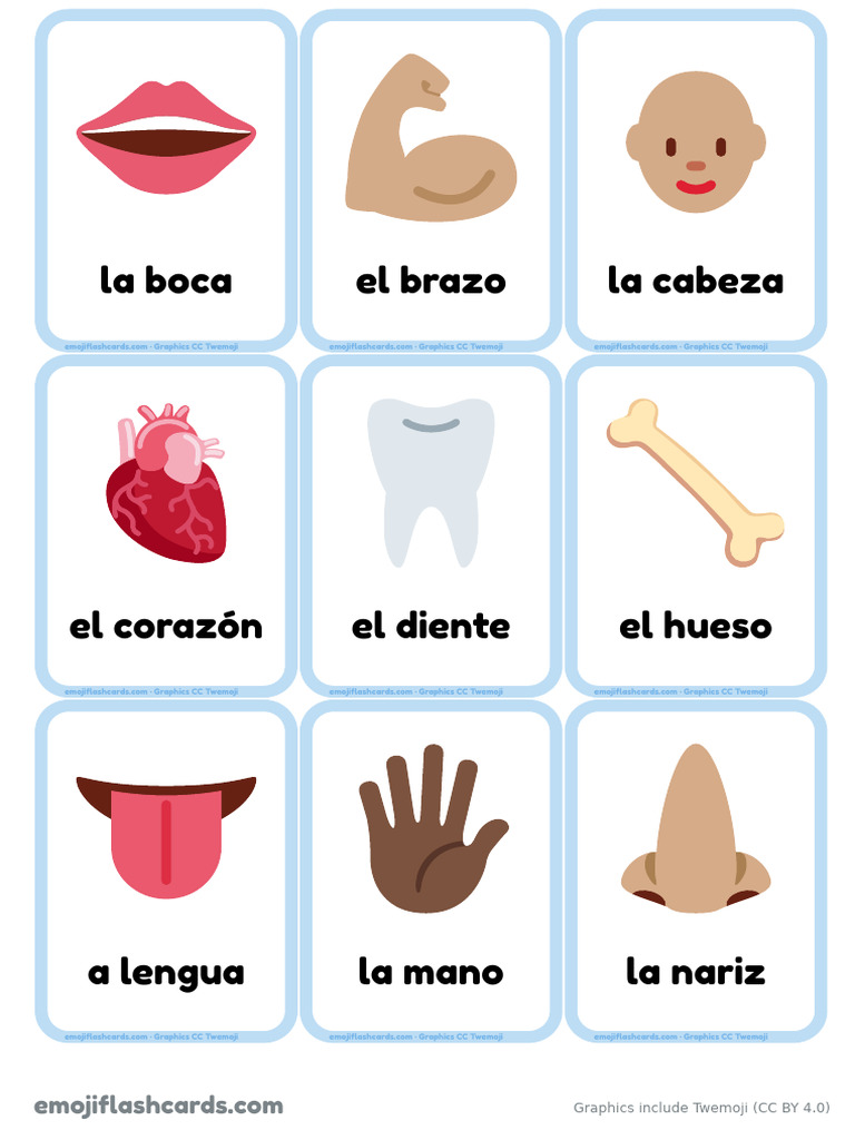 Spanish Parts of the Body Small a4 Flashcards | PDF
