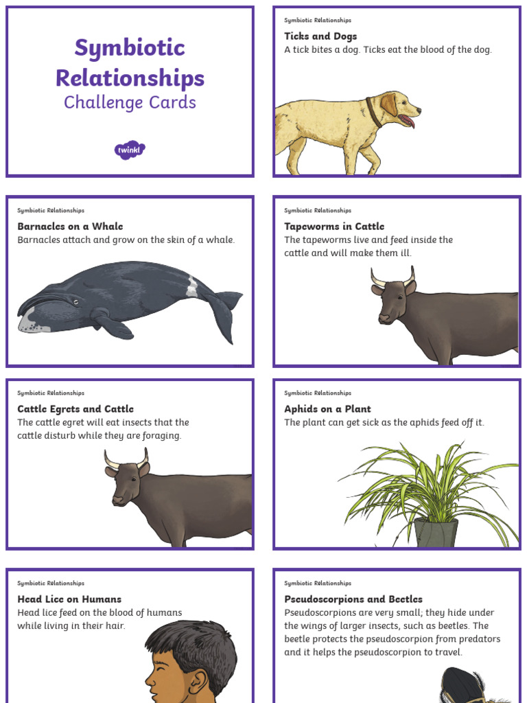 New Symbiotic Relationships Sorting Card | PDF | Symbiosis | Ant