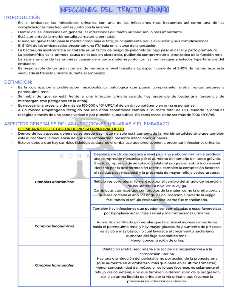 Infecciones Del Tracto Urinario.docx | PDF | Infección del tracto ...