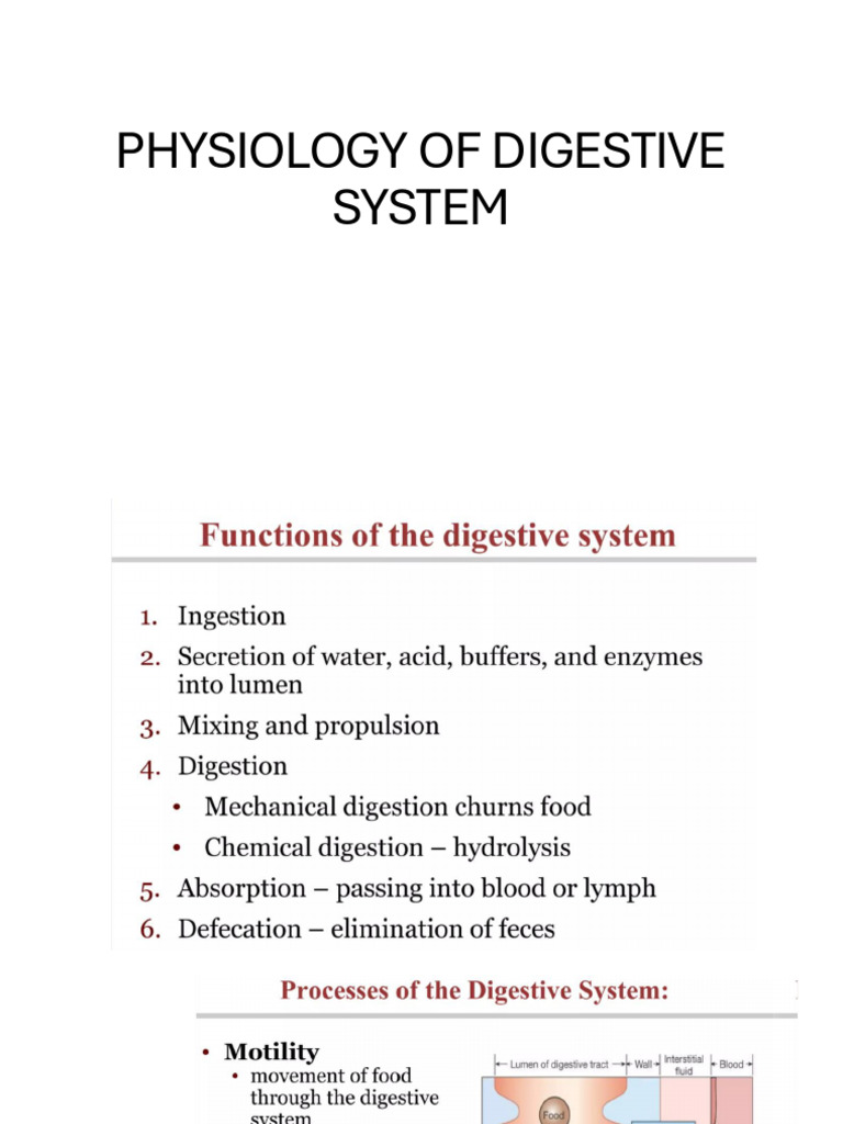 Physiology of Digestive System | PDF