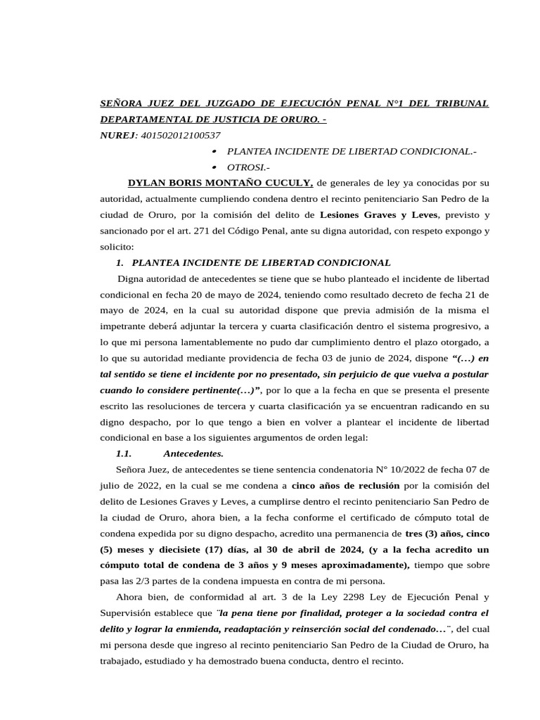 Libertad Condicional Dylan Boris Montaño | PDF | Prisión | Criminología