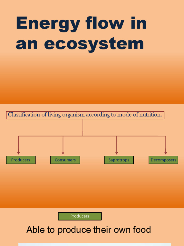 Ecosystem Energy Flow Ext | PDF