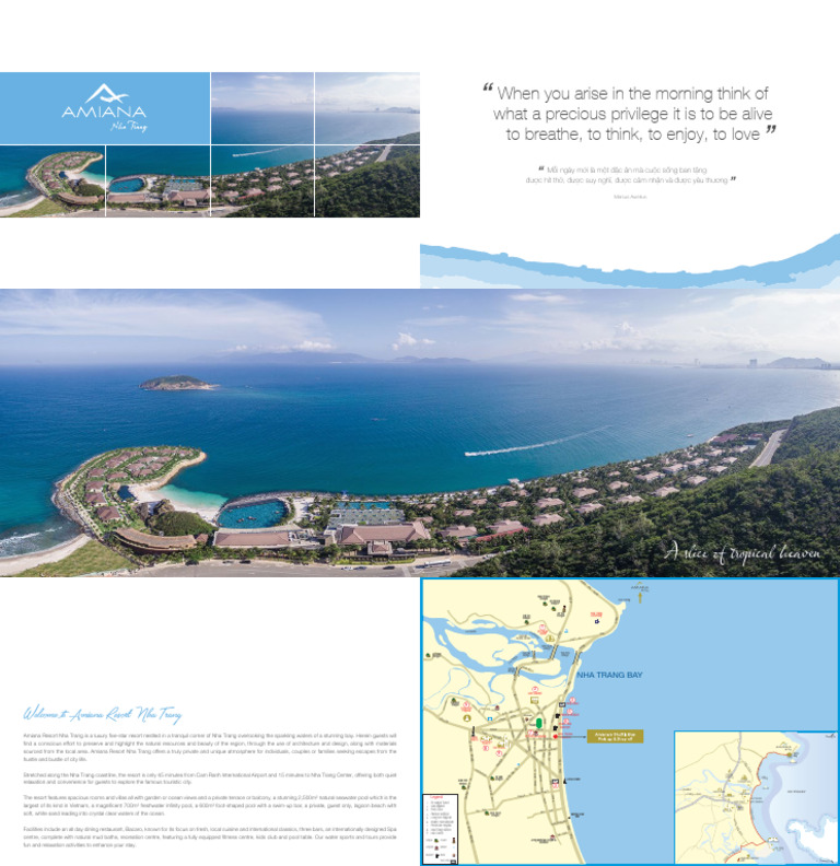 Amiana E Brochure 2019 Official | PDF