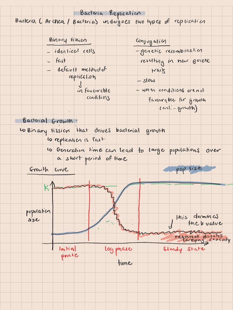 L4 Bacteria Replication and Antibiotic Mechanisms_260119_103547 - Copy ...