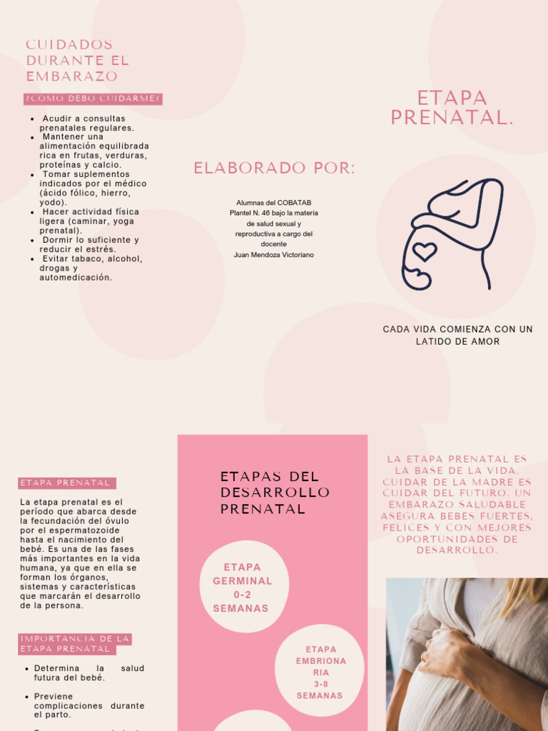 Folleto Tríptico Clinica Embarazadas Bienestar Minimalista Organica ...