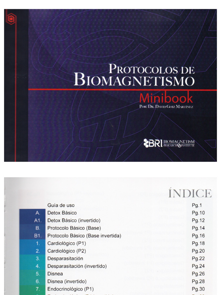 LIBRO MINI BOOK PROTOCOLO BIOMAGNETISMO DR DAVID GOIZ | PDF
