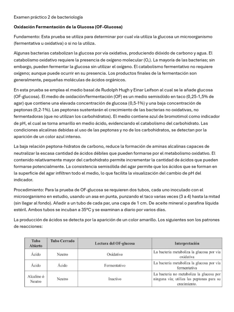 apuntes bacterio examen práctico.LF | PDF | Nitrato | Nitrito