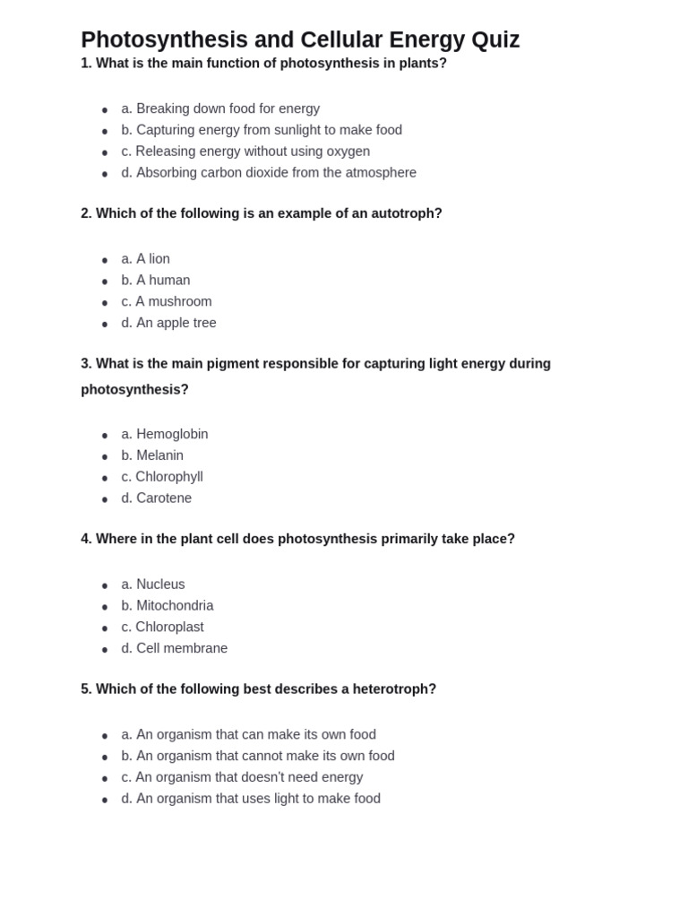 Photosynthesis and Cellular Energy Quiz | PDF