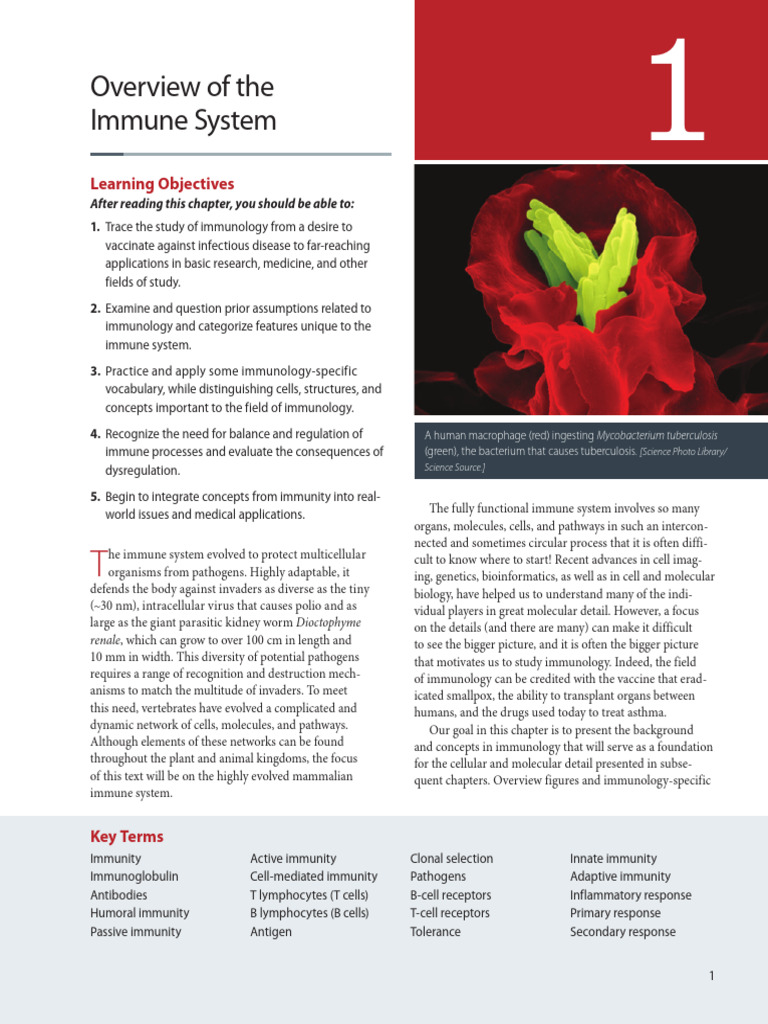 Kuby Immunology ---- (Chapter 1 Overview of the Immune System) | PDF ...